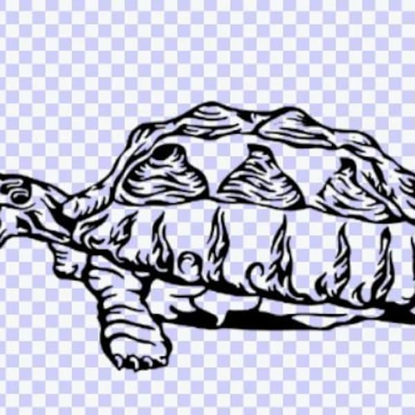 Snapping Turtle - Etsy