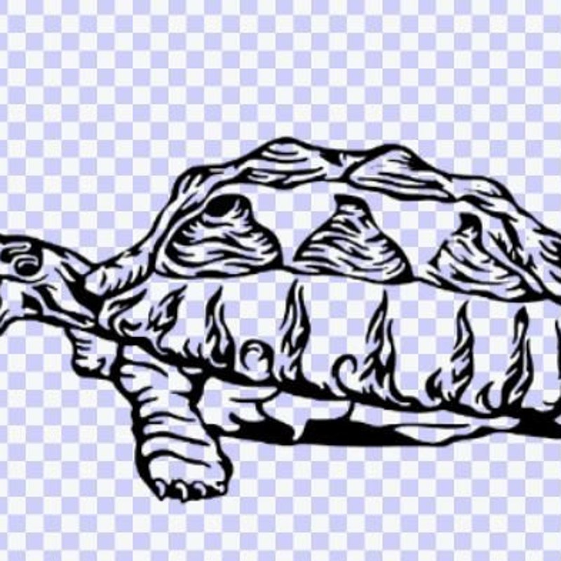 Turtle Clip Art - Etsy