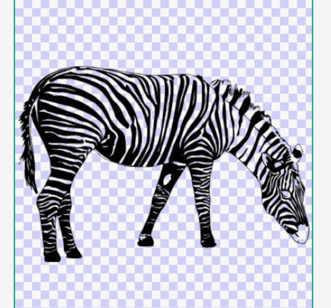Zebra Svg, Download File Svg Instant Digital Download Cricut Svg Zebra ...