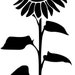 Tall Sunflower Svg Download, Png Cut File, Clip Art Download, Svg Cut ...