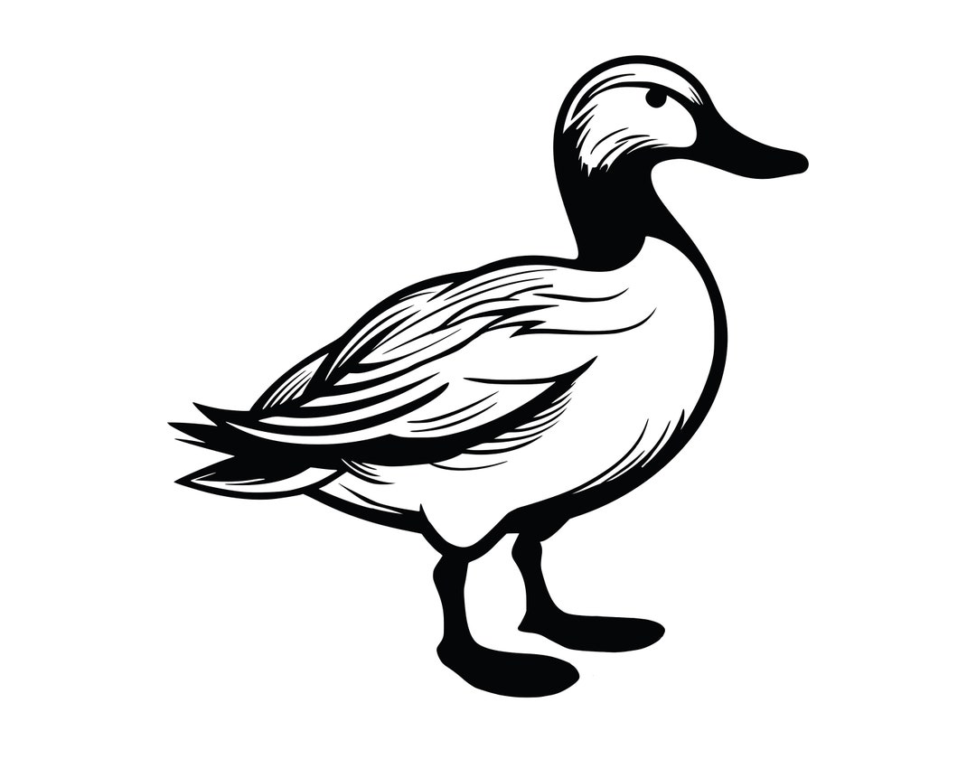 Duck Svg Cut File Download, SVG Png Jpg Cricut Silhouette Crafing Cut ...