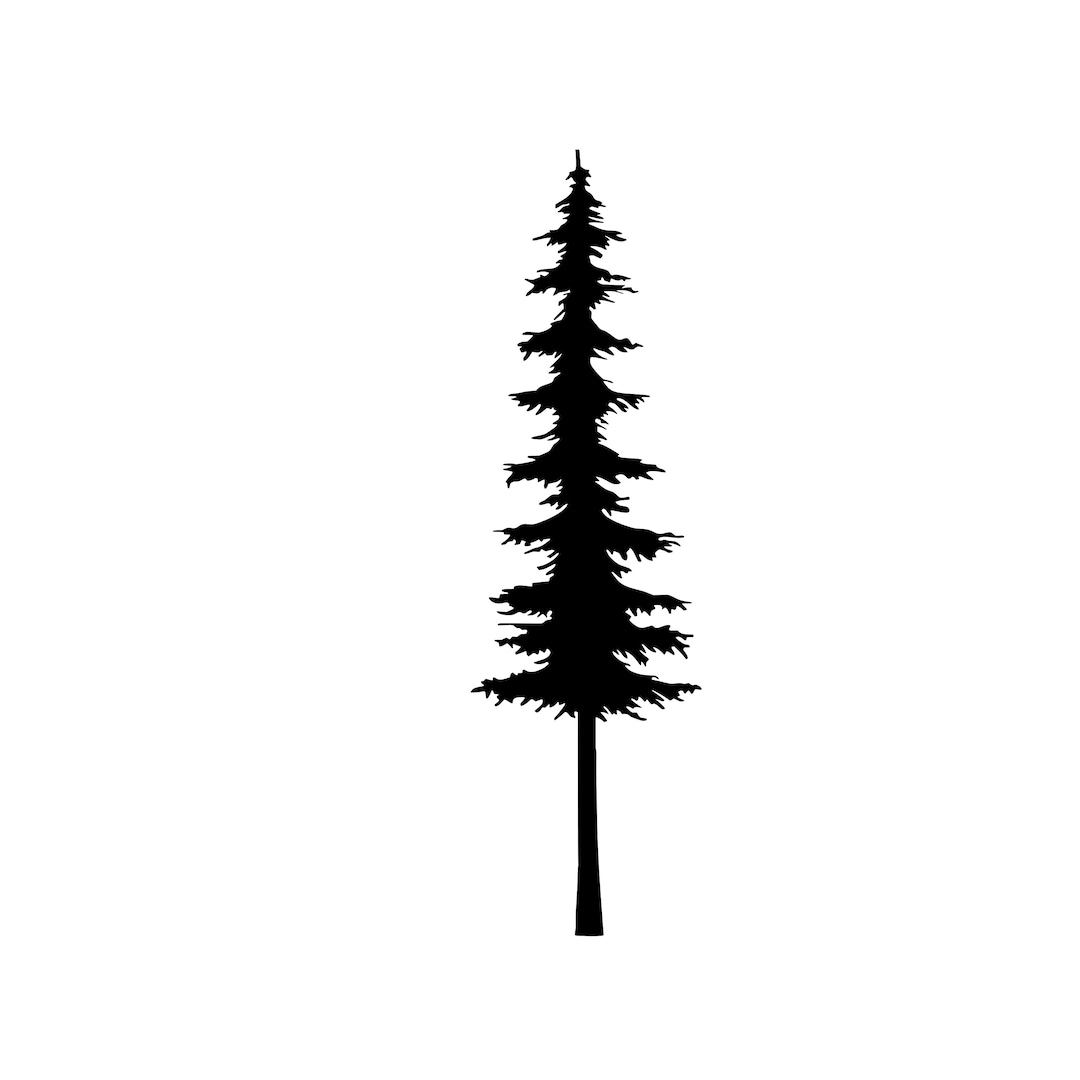 Thin Pine Tree Svg, Tree Download File Svg Digital Cricut Svg Clip Art ...