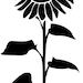 Tall Sunflower Svg Download, Png Cut File, Clip Art Download, Svg Cut ...