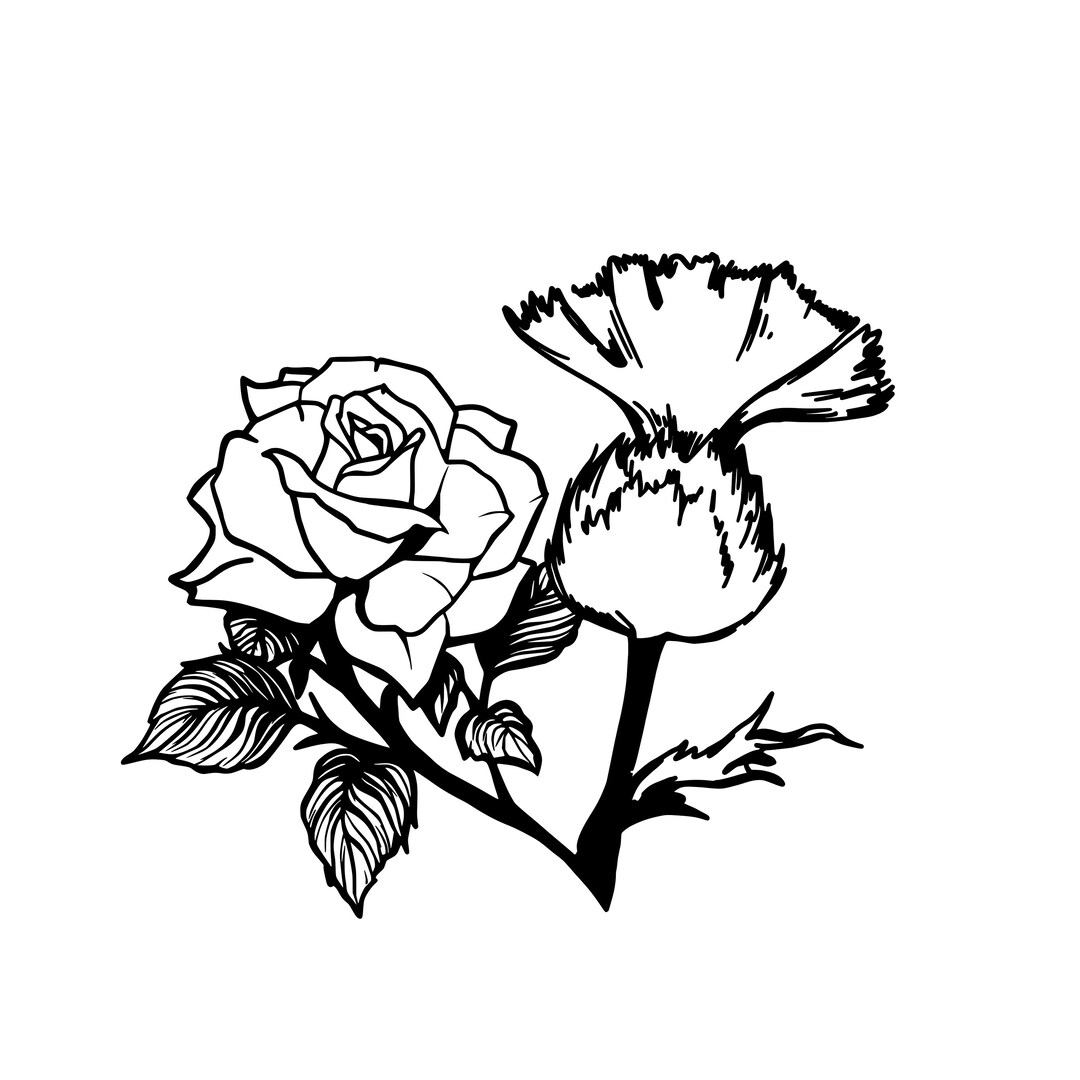 Rose and Scottish Thistle Svg, Png, Jpg Flower Download Cut File, Rose ...