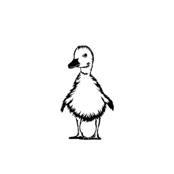 Baby Duckling Clipart