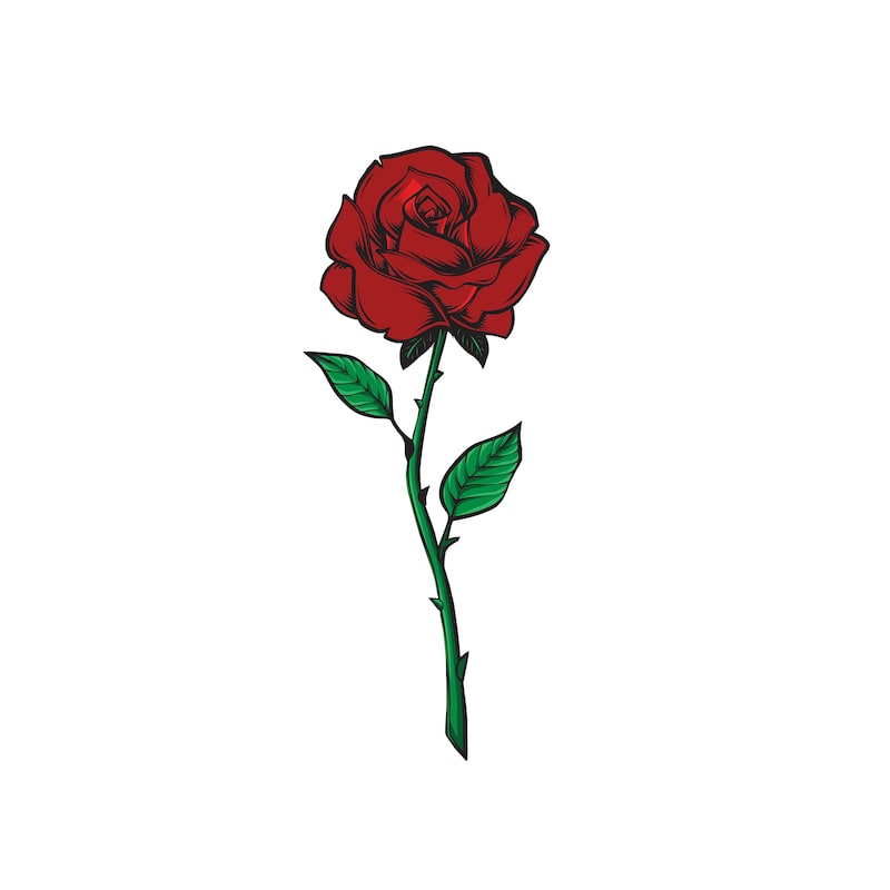 Long Stem Rose Vector Image - Etsy