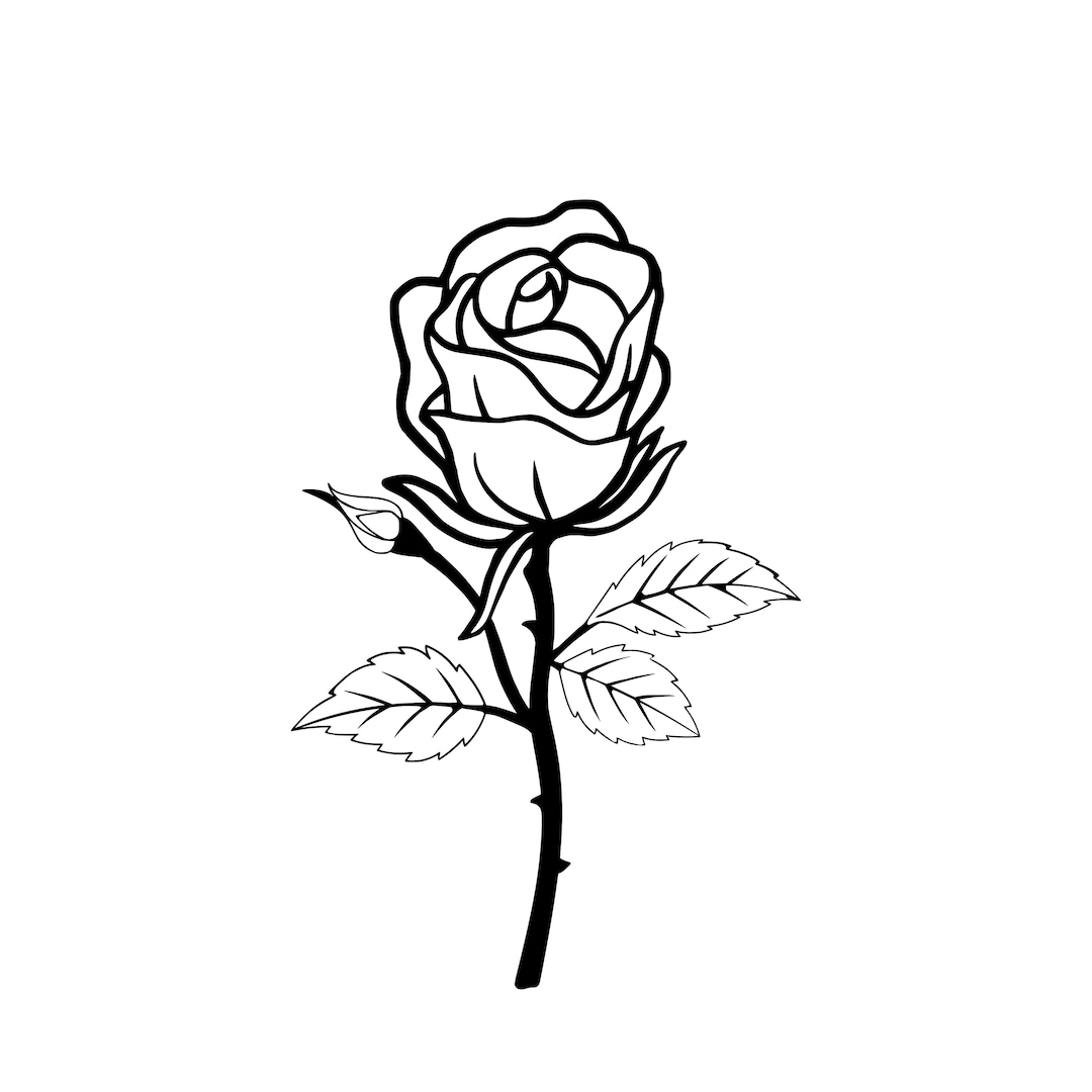 Long Stem Rose Download Vector Cut File Bmp Png Cricut Valentines Day Rose Flower
