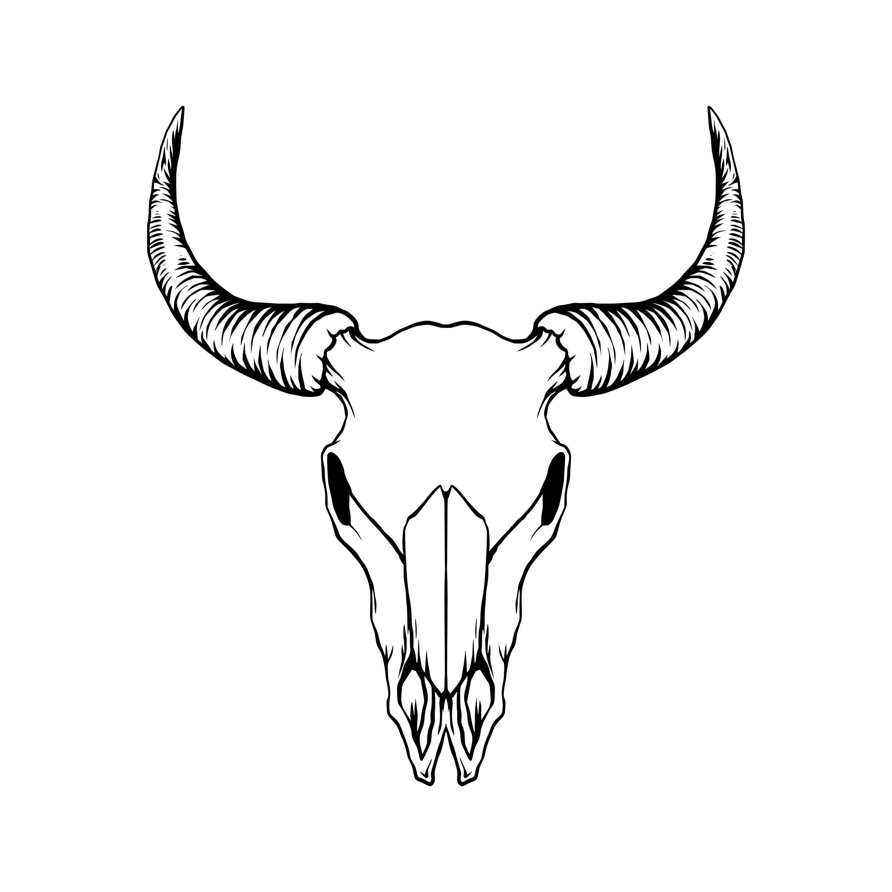 Pagina Da Colorare Teschio Longhorn