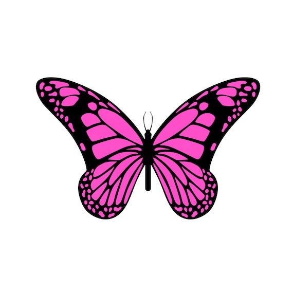 Pink Butterfly Design