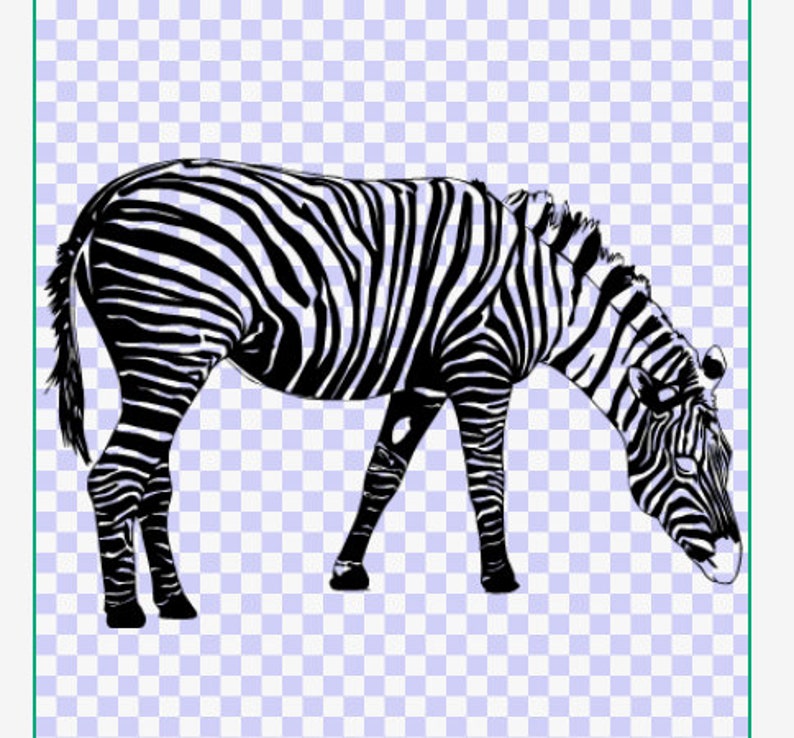 Zebra Svg Download File Svg Instant Digital Download Cricut - Etsy