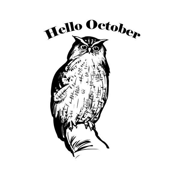 Fall Owl Clipart - Etsy