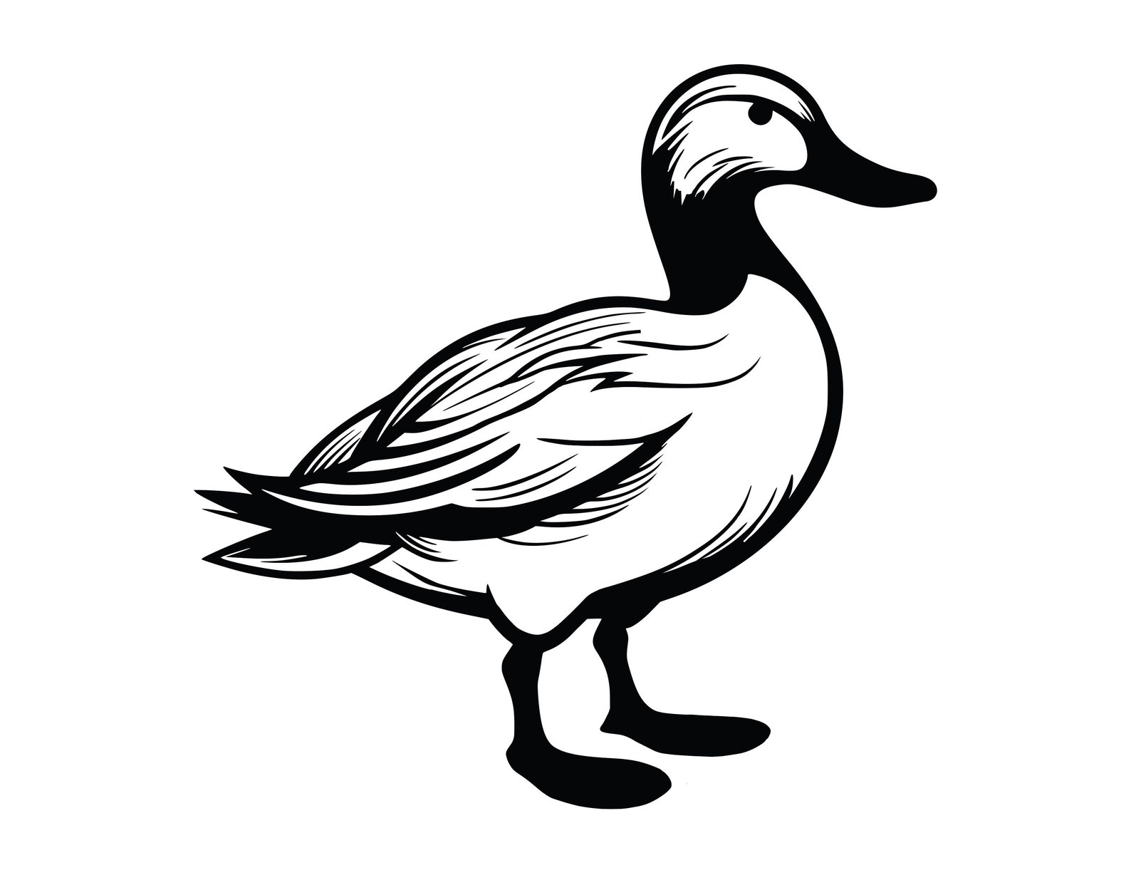 Duck Svg Cut File Download, SVG Png Jpg Cricut Silhouette Crafing Cut ...