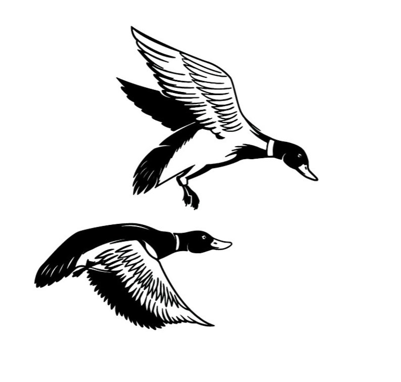 Flying Ducks Cut File Download Svg outdoors SVG Cricut Svg - Etsy