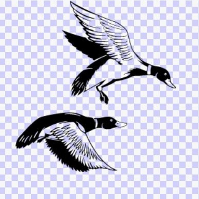 Duck Svg - Etsy