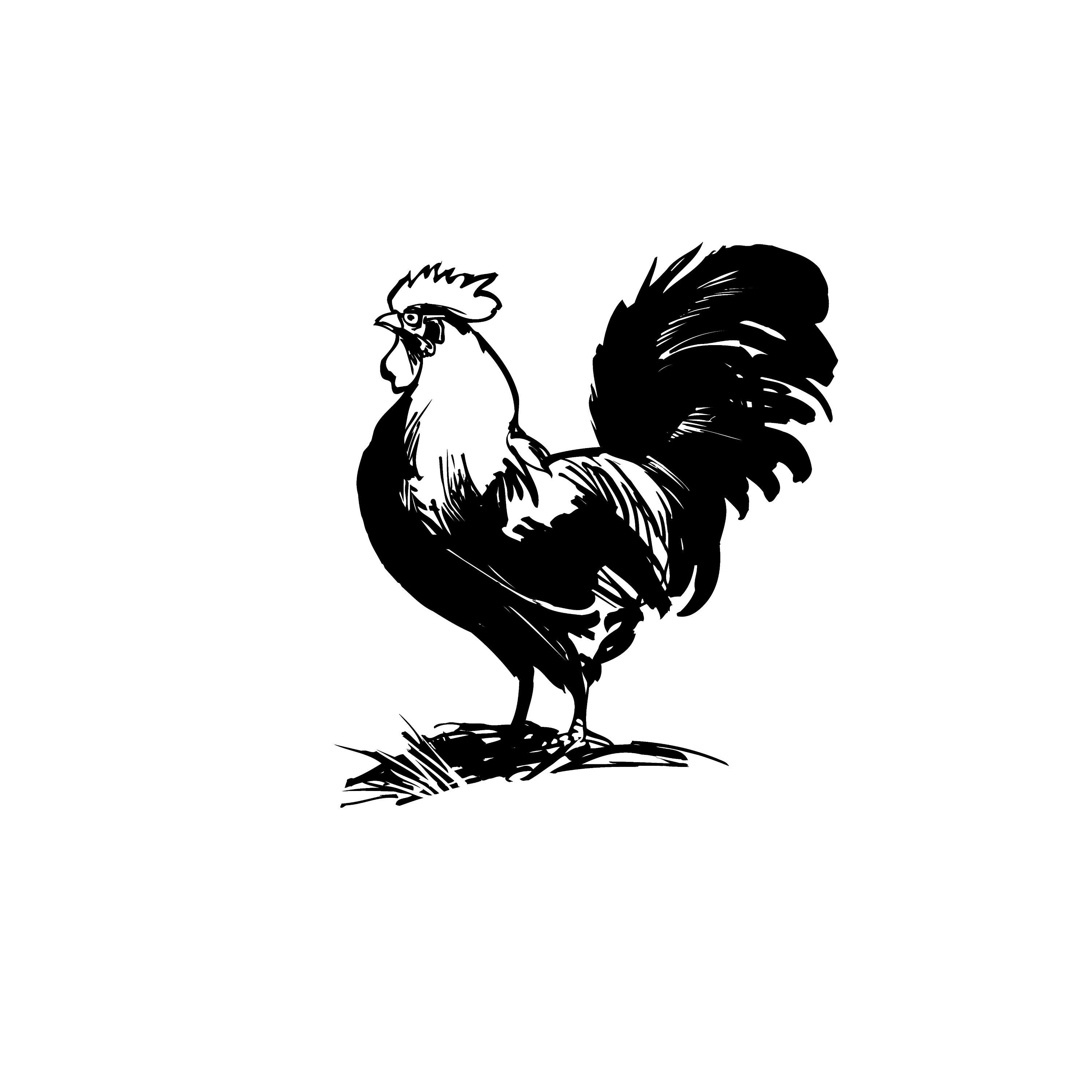Morning Rooster Clipart