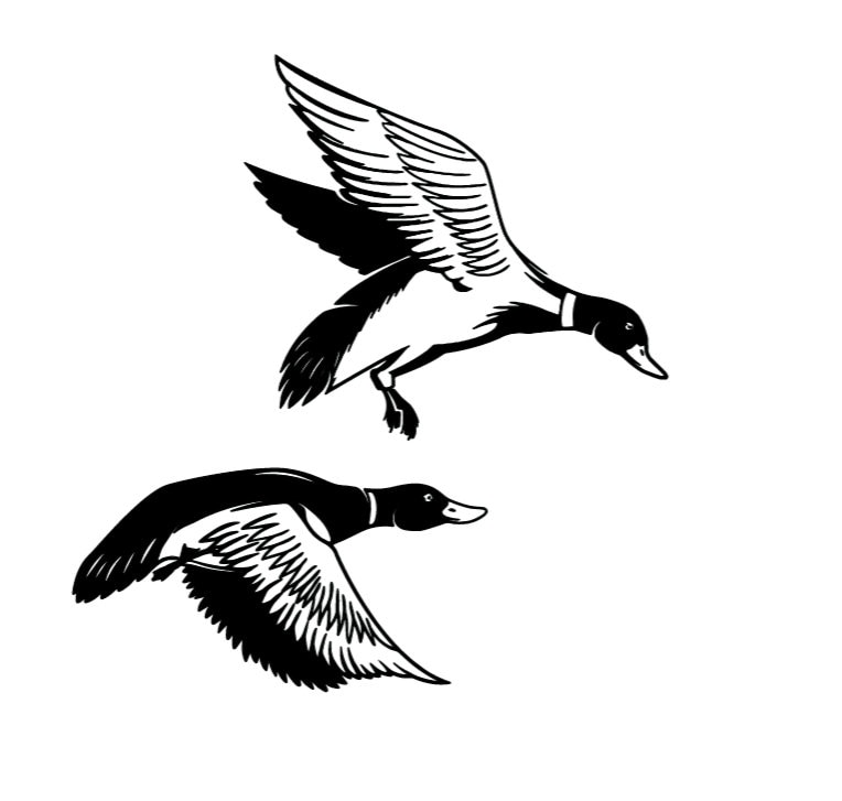 Flying Ducks Cut File Download, Svg ,outdoors SVG, Cricut Svg ...
