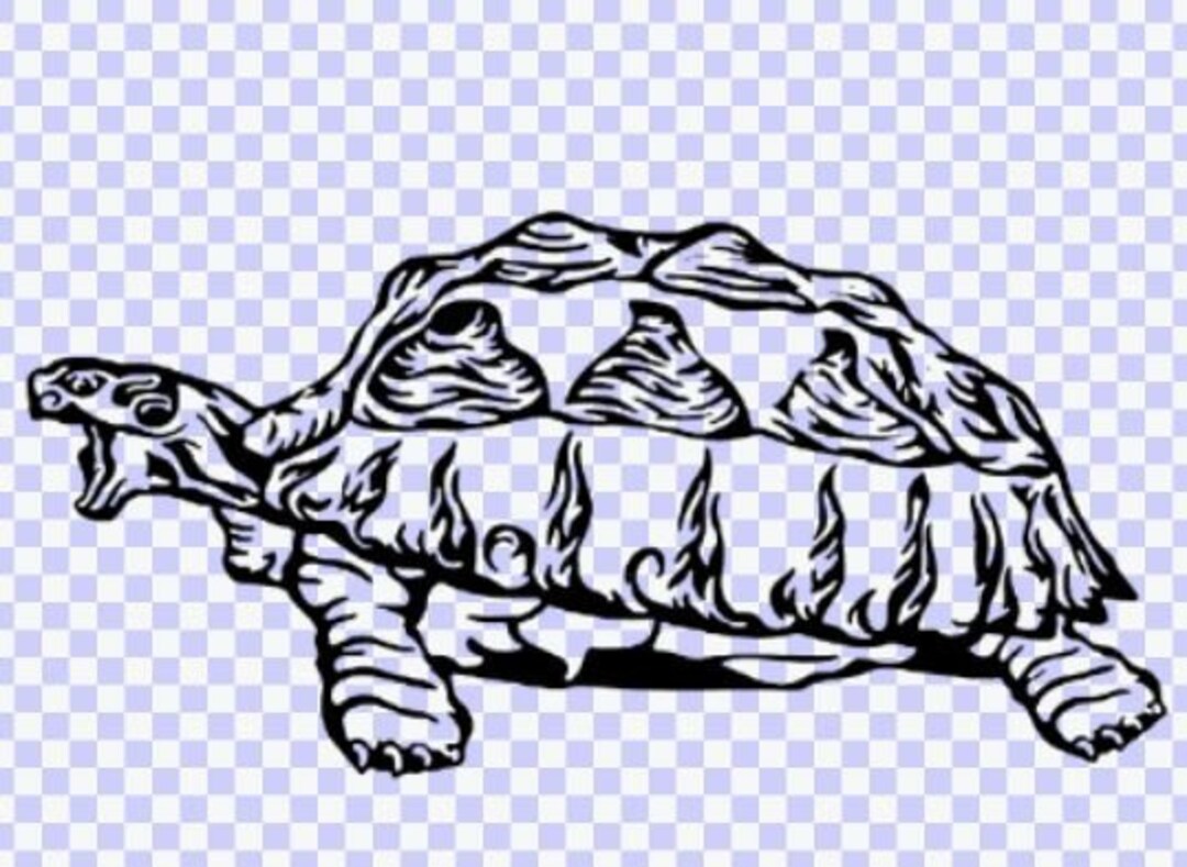 Snapping Turtle Svg Download, Turtle Svg, Cricut Svg Download ...
