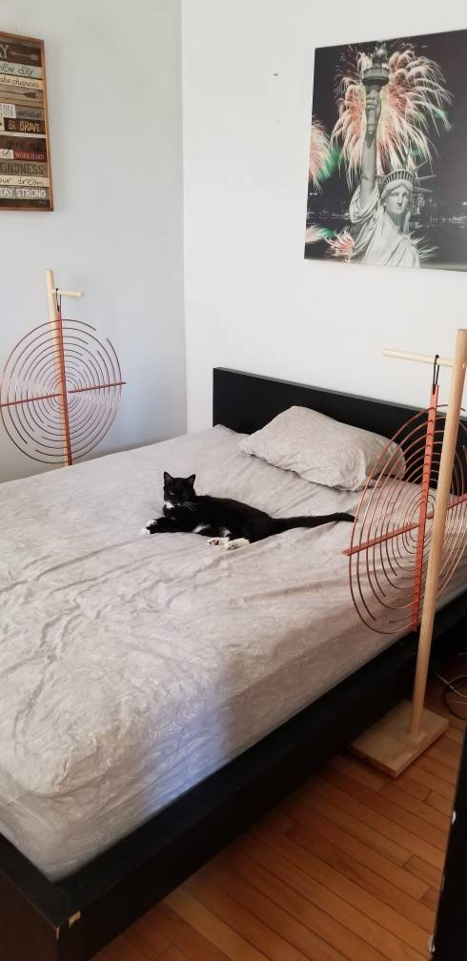 Lakhovsky MWO Antenna, Golden Ratio Antenna, Immune System Supporting ...