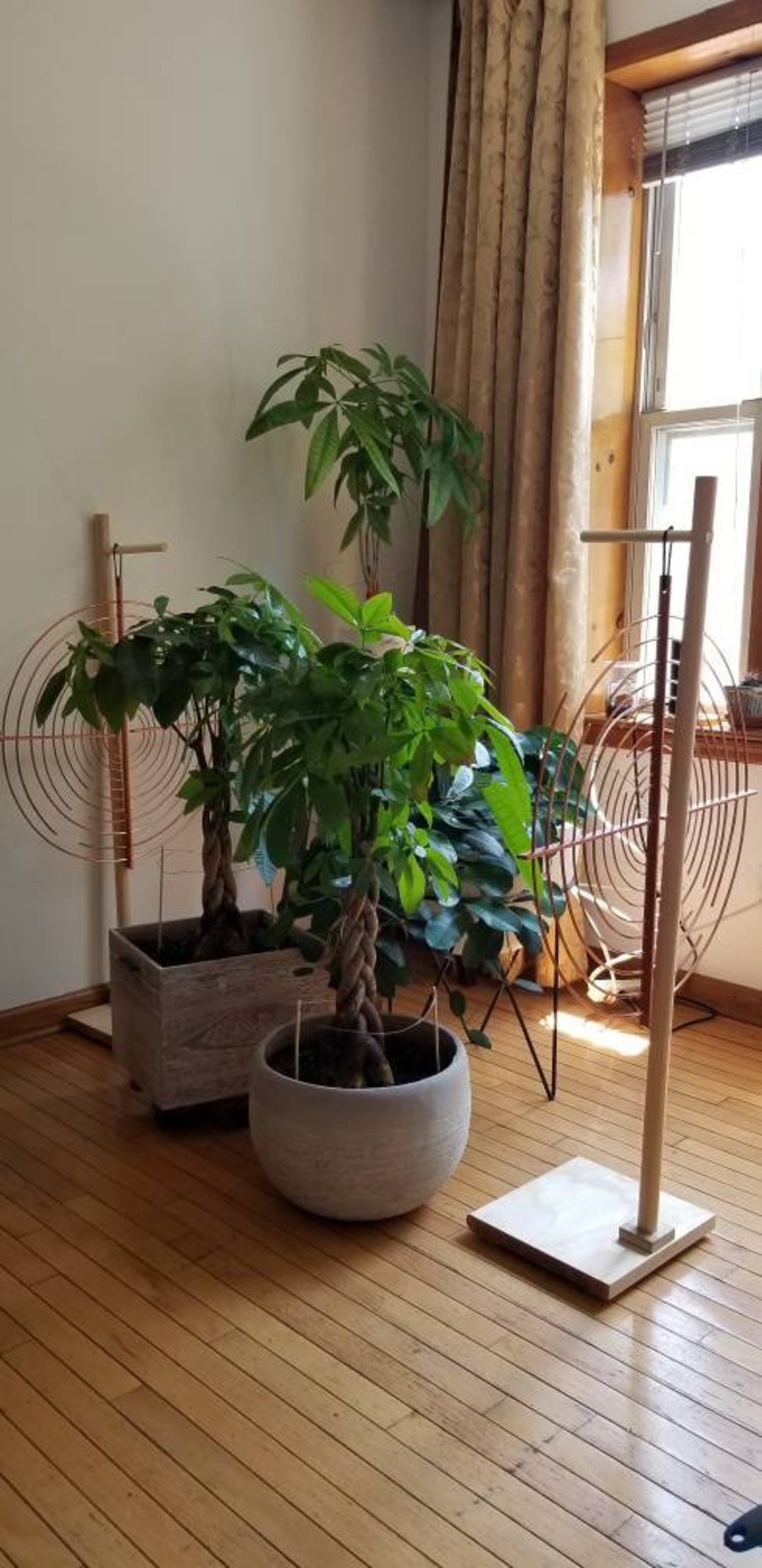 Lakhovsky MWO Antenna, Golden Ratio Antenna, Immune System Supporting ...