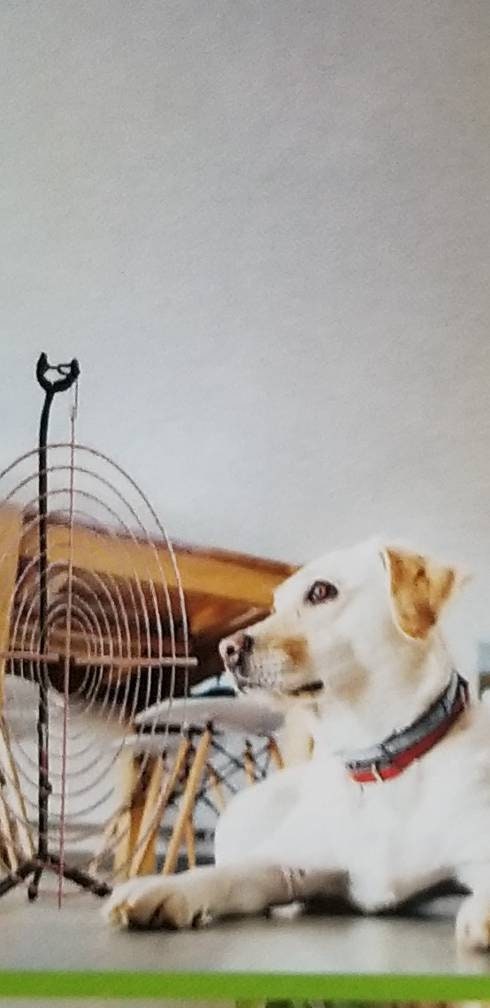 Lakhovsky MWO Antenna, Golden Ratio Antenna, Immune System Supporting ...