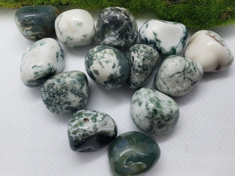 Tree Agate Crystal Tumble Improves Confidence & Self-esteem - Etsy