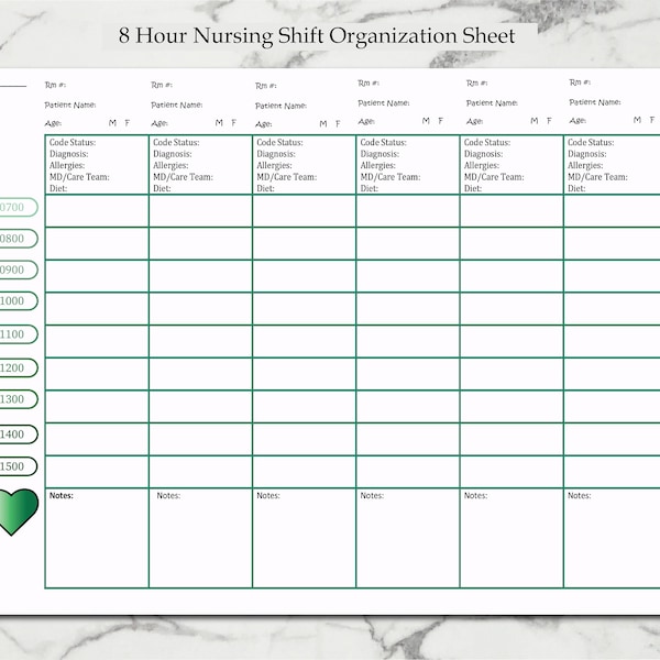 Rn Nurse Hourly Sheet - Etsy