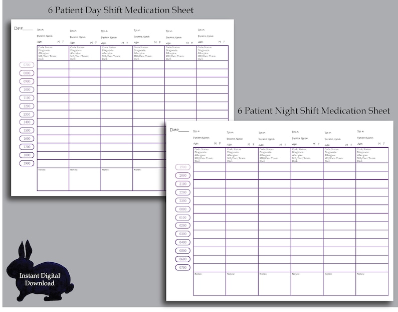 Nursing Shift Organization Sheet, Nurse Day Planner Printable, Hourly ...