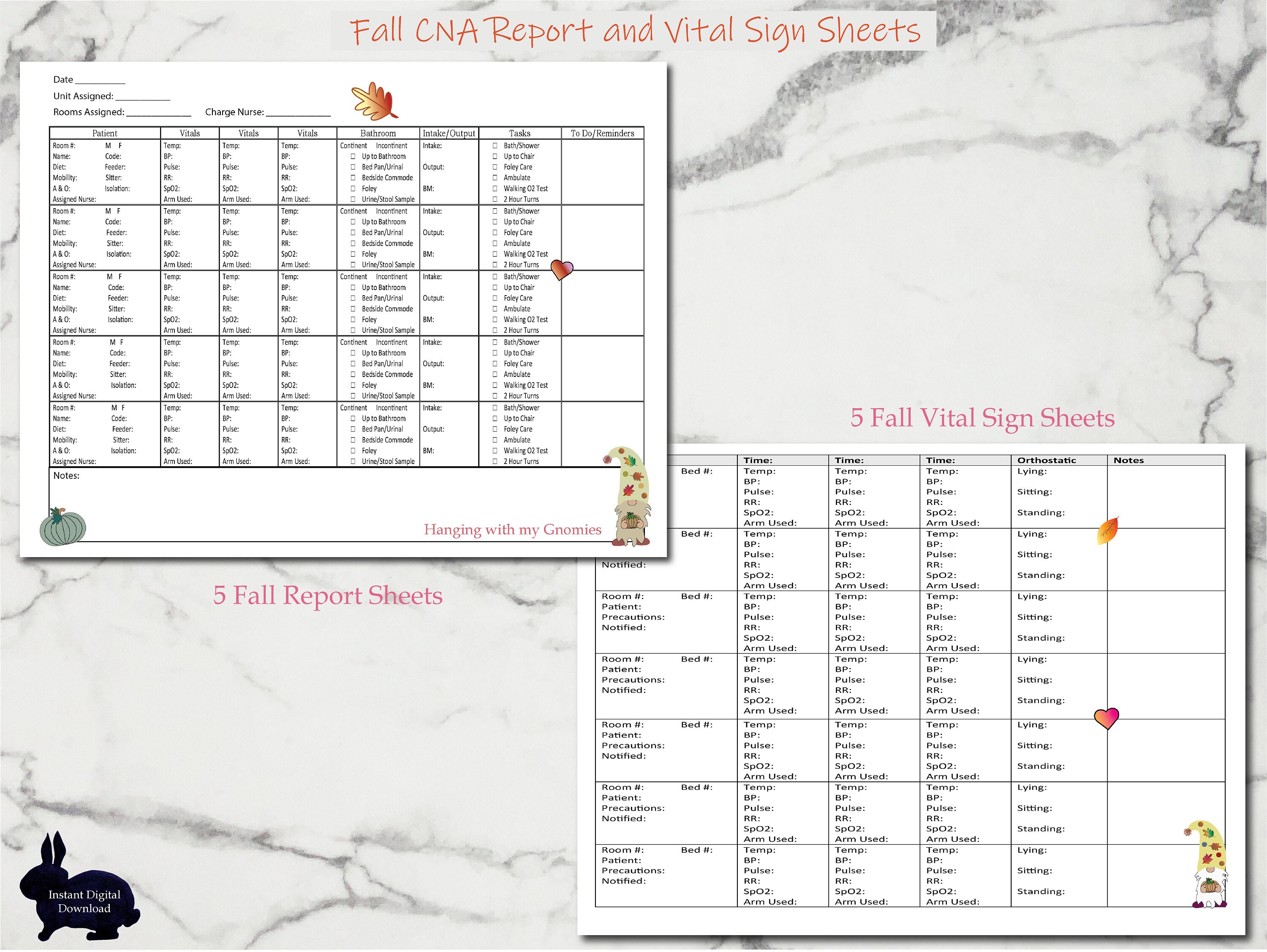 Fall CNA Report Sheet, Autumn Themed Nursing Assistant Brain, Vital ...