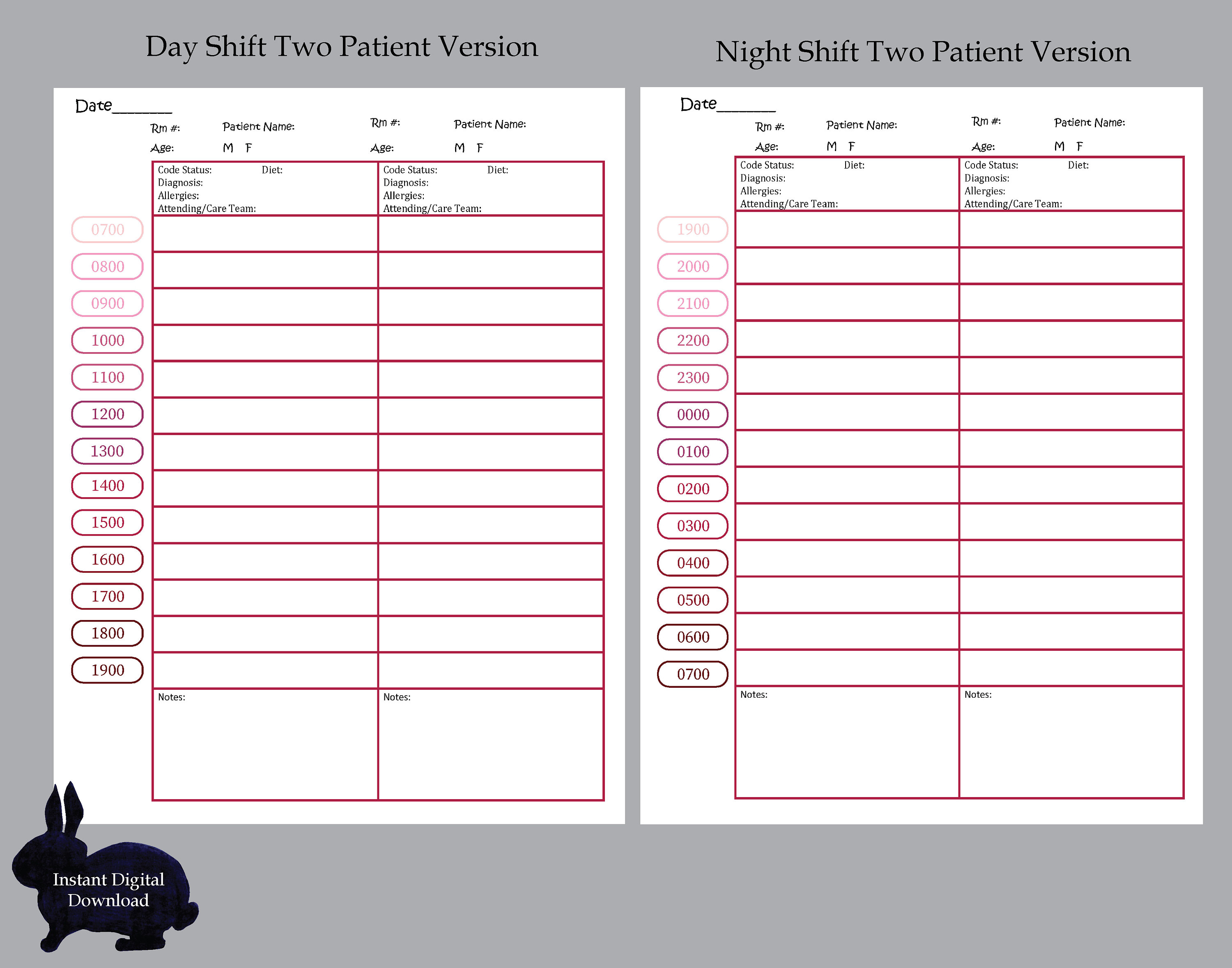 Nursing Shift Organization Sheet, Nurse Day Planner Printable, Hourly ...