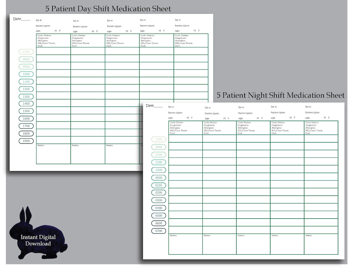Nursing Shift Organization Sheet Nurse Day Planner Printable - Etsy