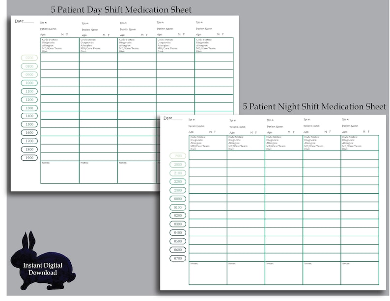 Nursing Shift Organization Sheet, Nurse Day Planner Printable, Hourly ...