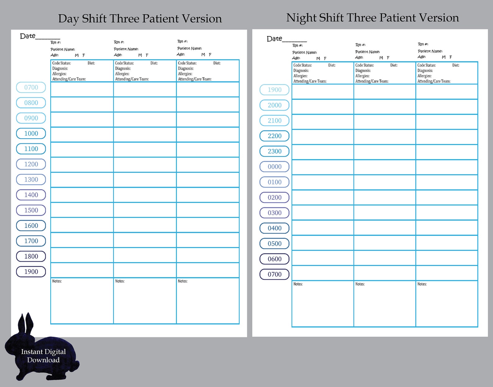Nursing Shift Organization Sheet, Nurse Day Planner Printable, Hourly ...
