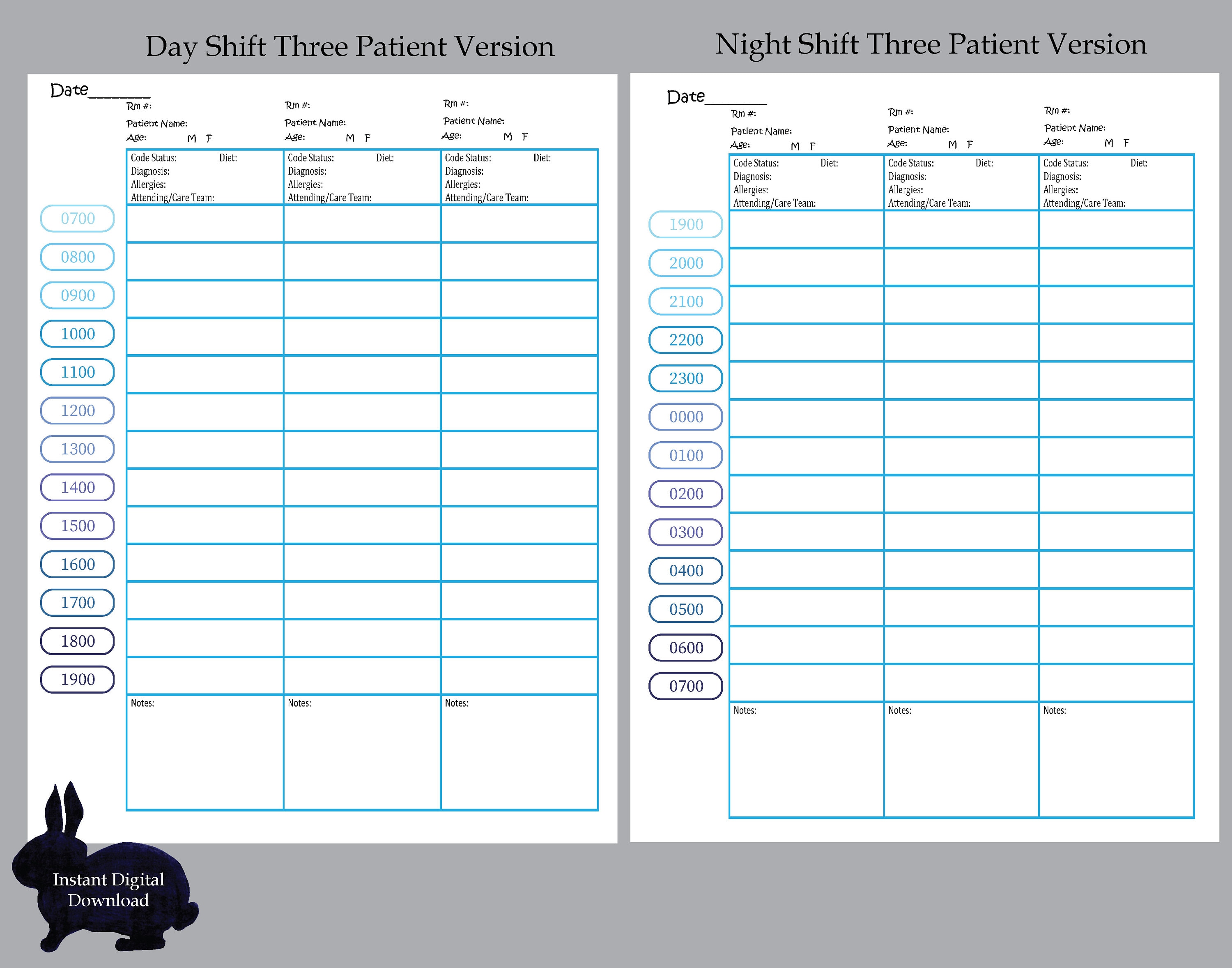 Nursing Shift Organization Sheet, Nurse Day Planner Printable, Hourly ...