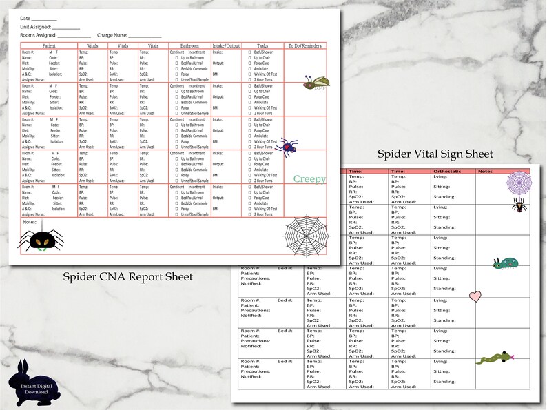 Halloween CNA Report Sheet, Spooky Themed Nursing Assistant Brain ...