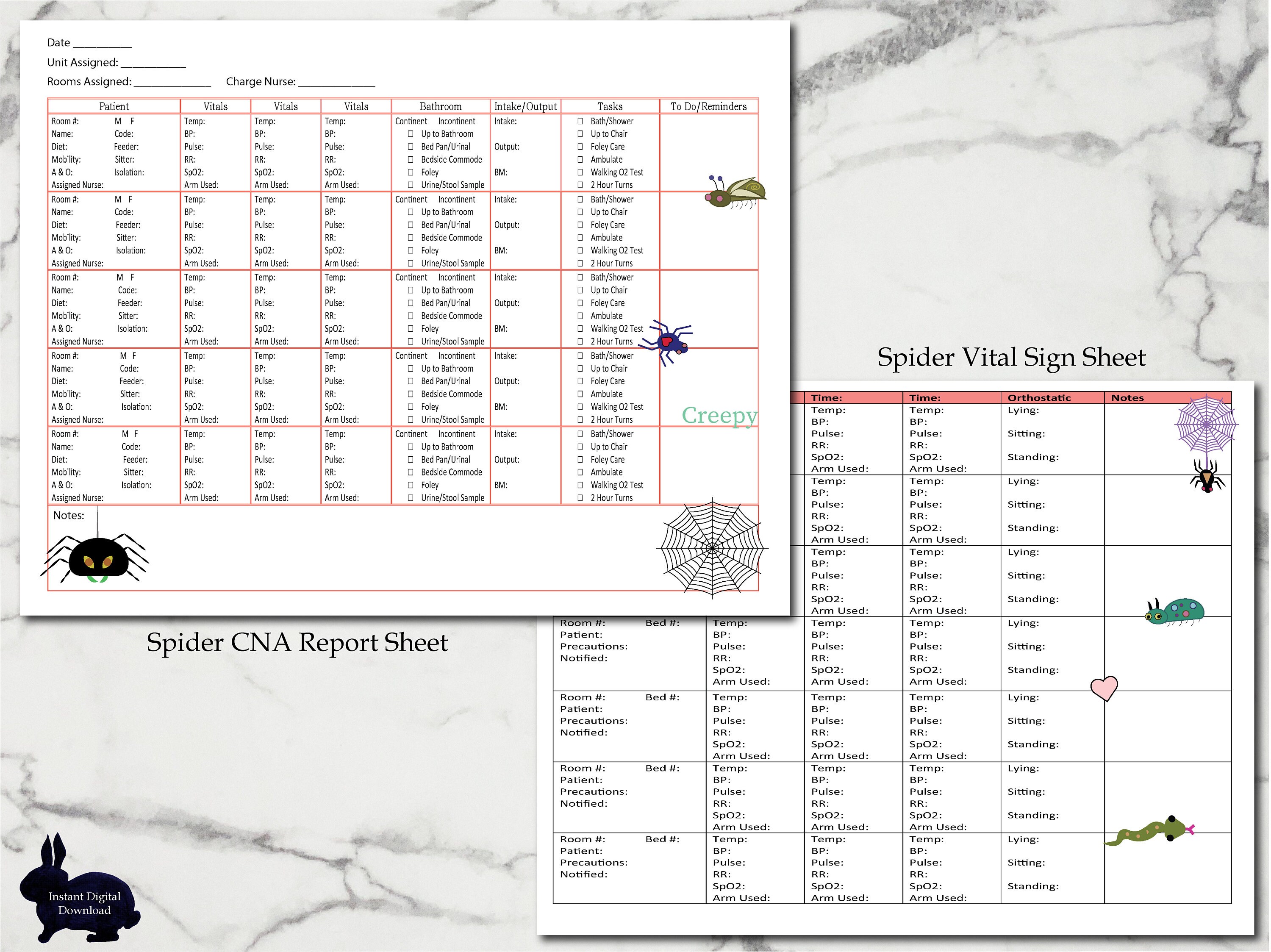 Halloween CNA Report Sheet, Spooky Themed Nursing Assistant Brain ...