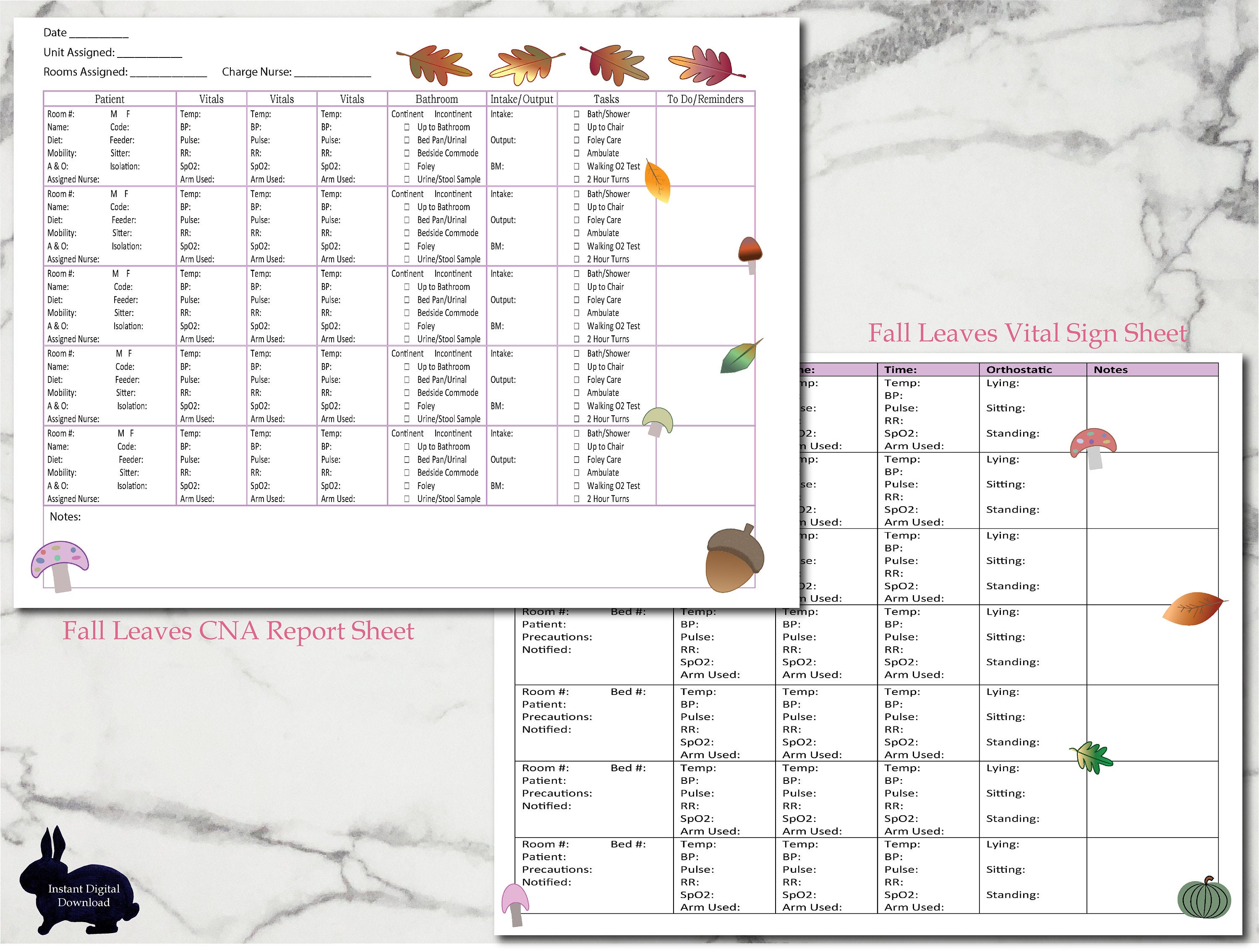 Fall CNA Report Sheet, Autumn Themed Nursing Assistant Brain, Vital ...