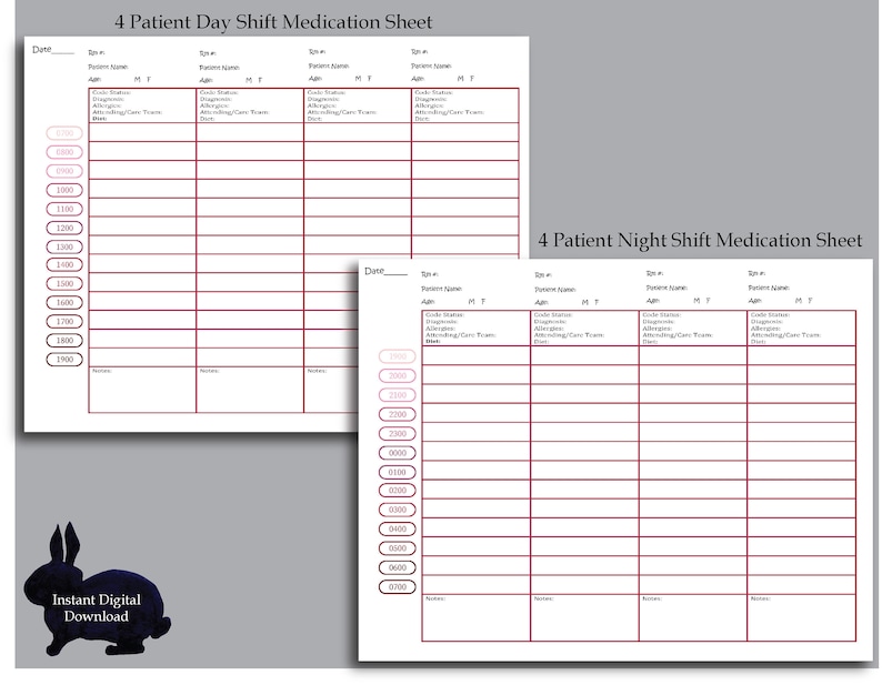 Nursing Shift Organization Sheet, Nurse Day Planner Printable, Hourly ...