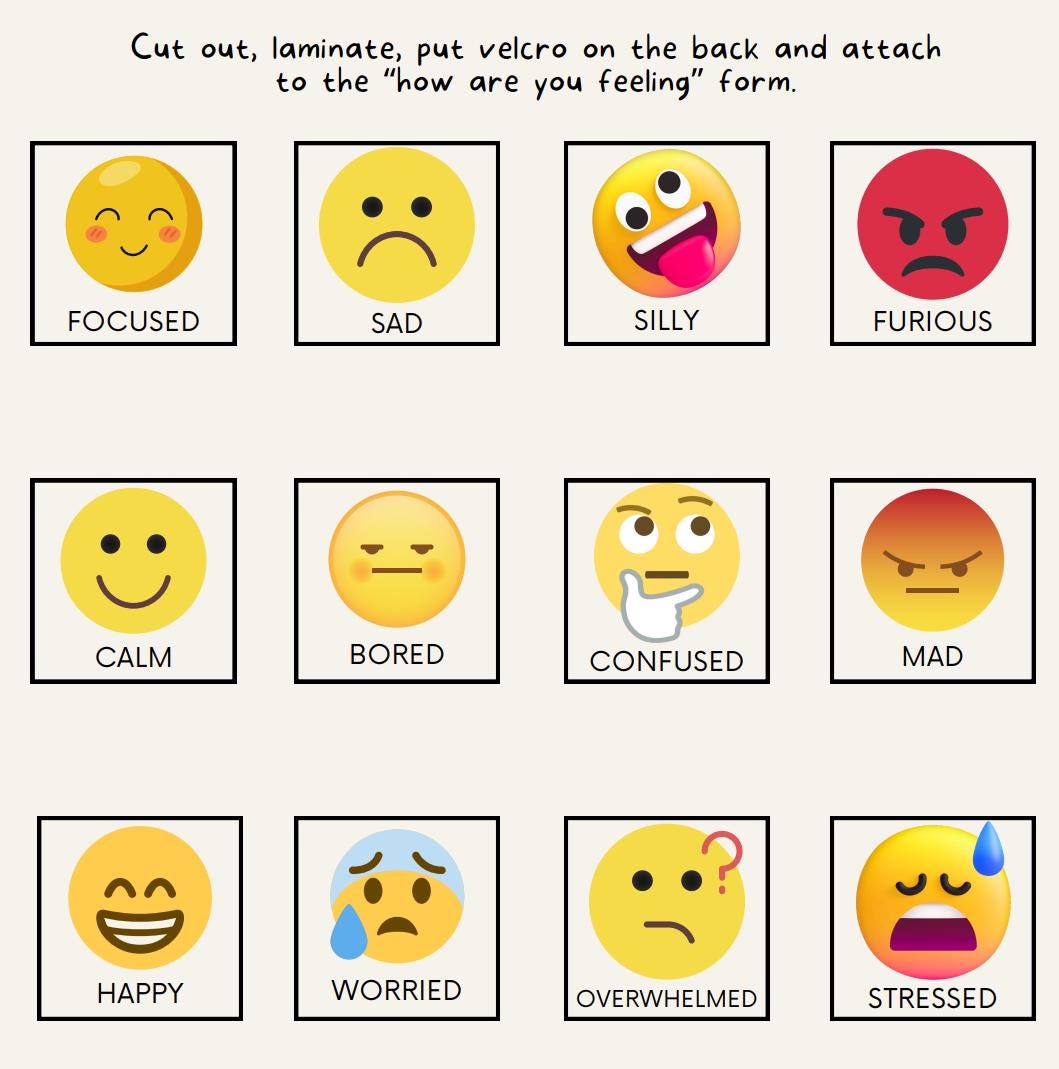 Zones of Regulation Feelings Check In - Etsy