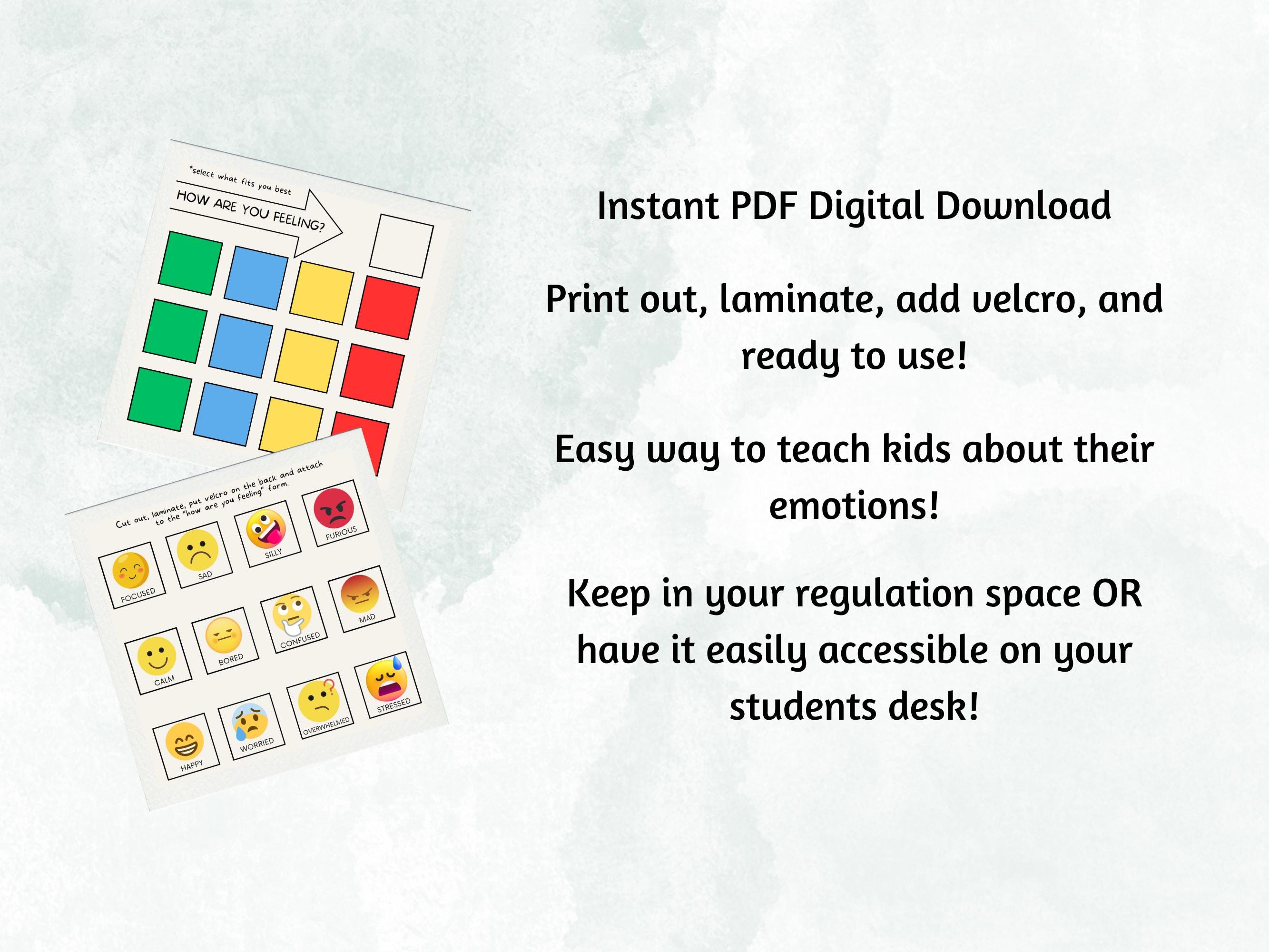Zones of Regulation Feelings Check In - Etsy