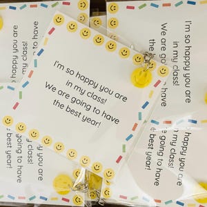 25 Pack of Tiny Smiley Keychains | Meet the Teacher Student Gift From ...