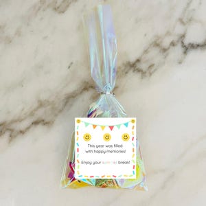 End of School Year Student Gift Tag | Happy Summer Break Gift Tag ...