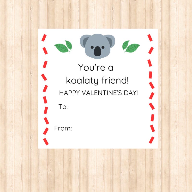 Koala Gifts - 60+ Gift Ideas for 2025