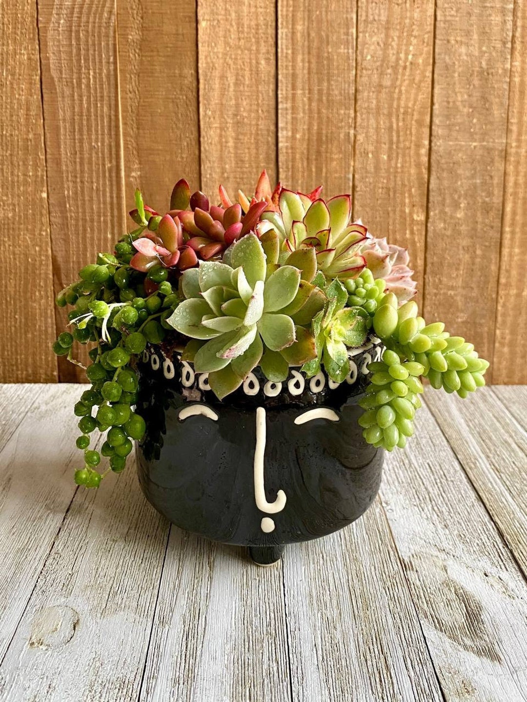 Boho-chic Black Ceramic Face Pot With Vibrant Succulent Arrangement ...