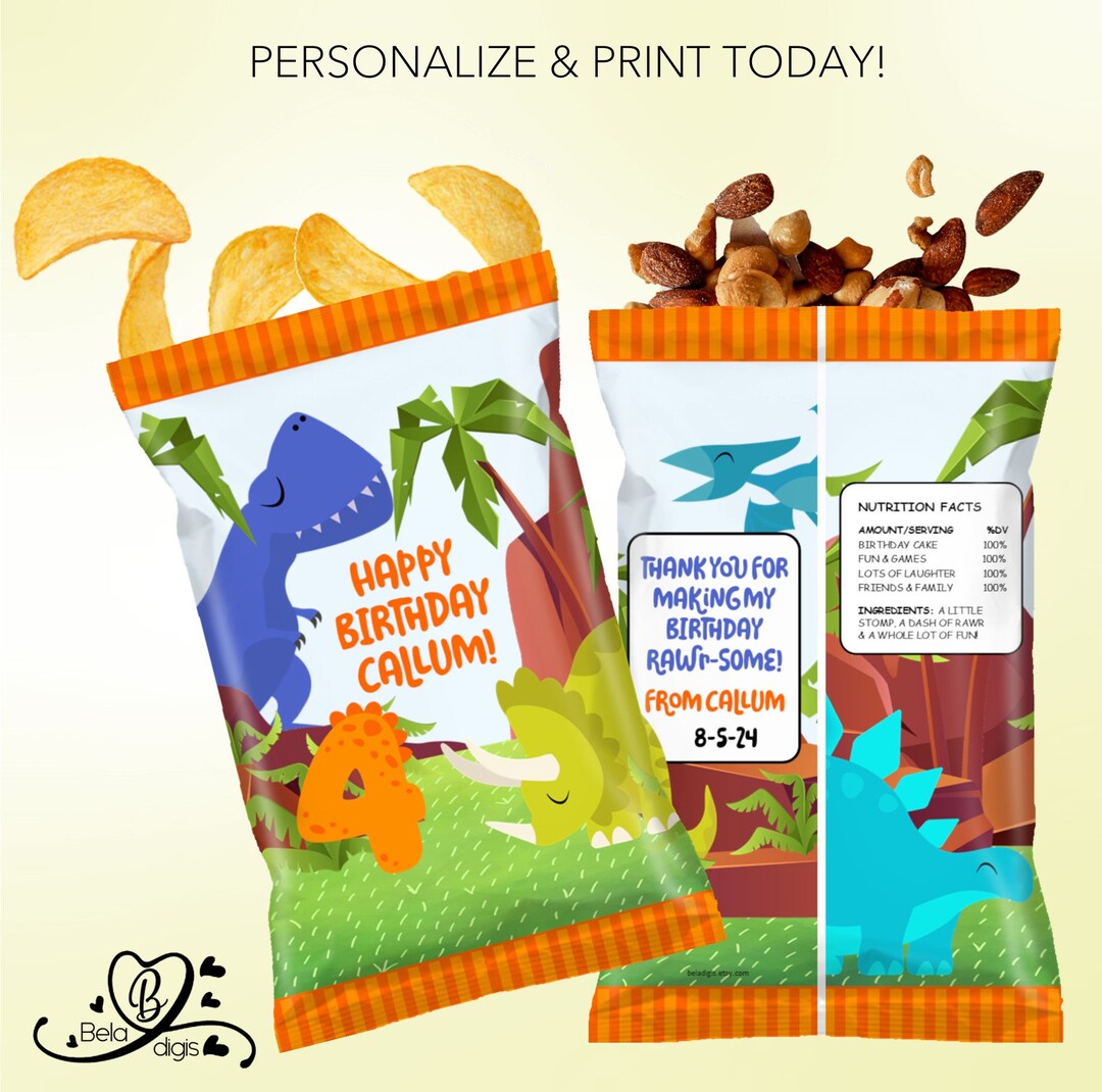 Dinosaurs Boy's Birthday Chip Bags Personalized Snack Bags Party Favors ...