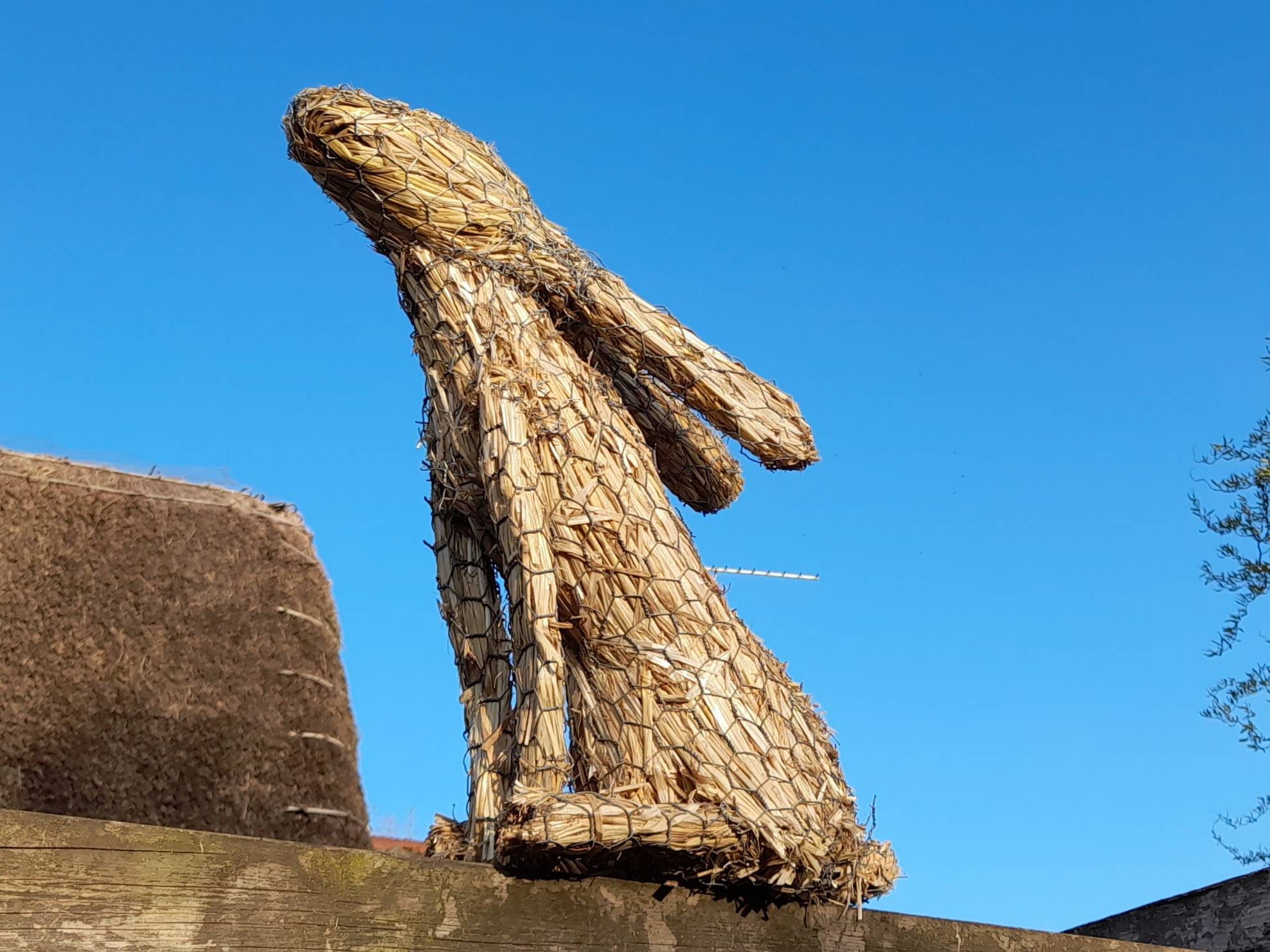 Thatched Animals From - Etsy UK