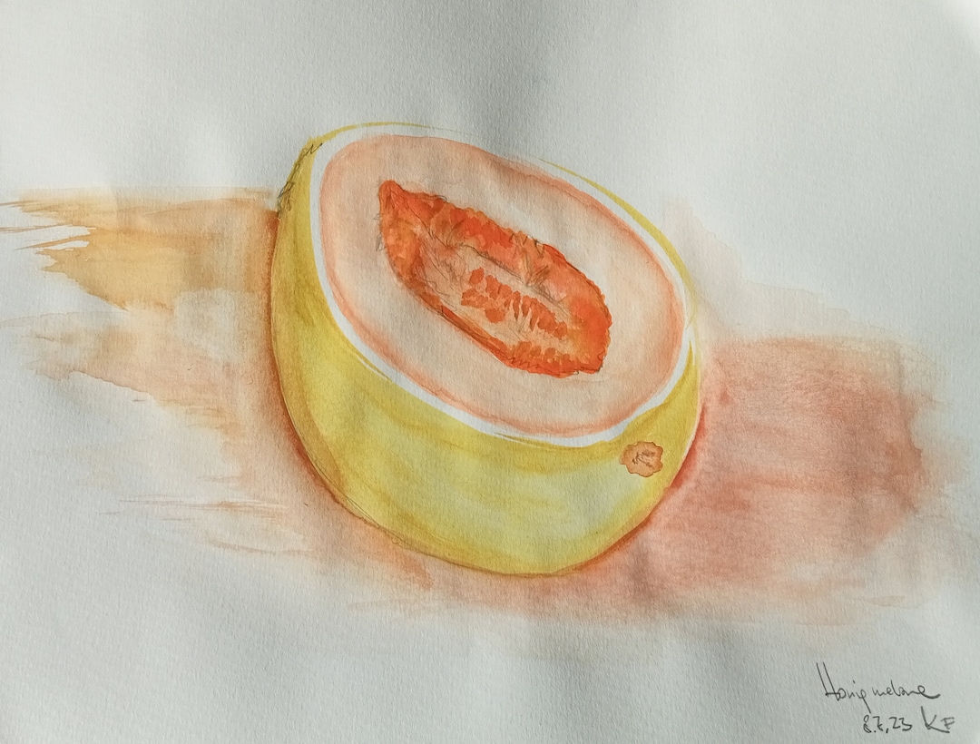 Honeydew Melon Drawing - Etsy