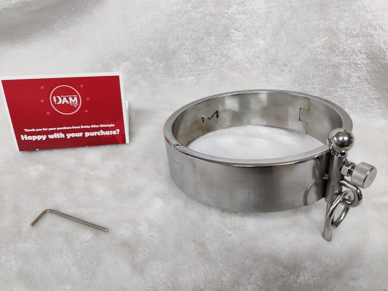 Steel Slave Collar Locking Stainless With Adjustable Head | Etsy