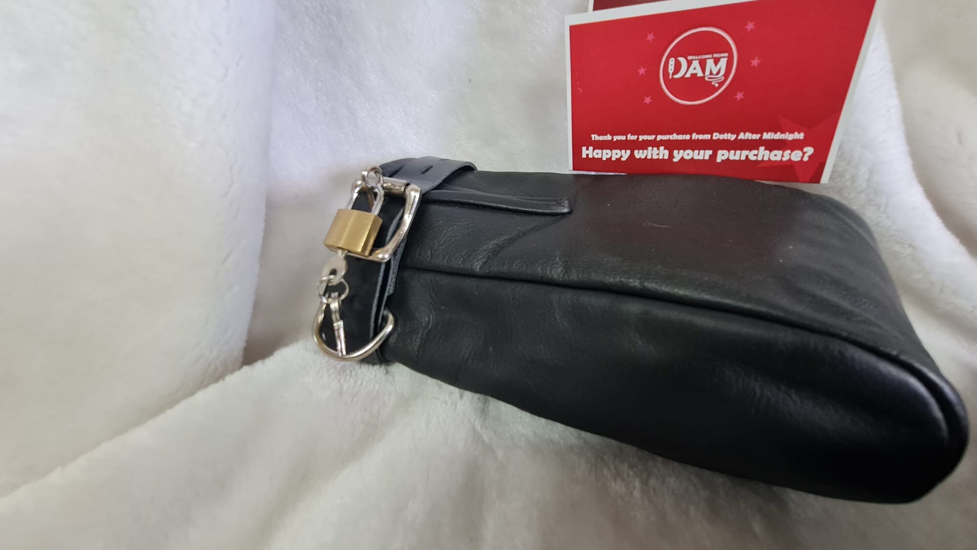 Real Leather Bondage Padded Locking Mitts black for Puppy - Etsy Australia