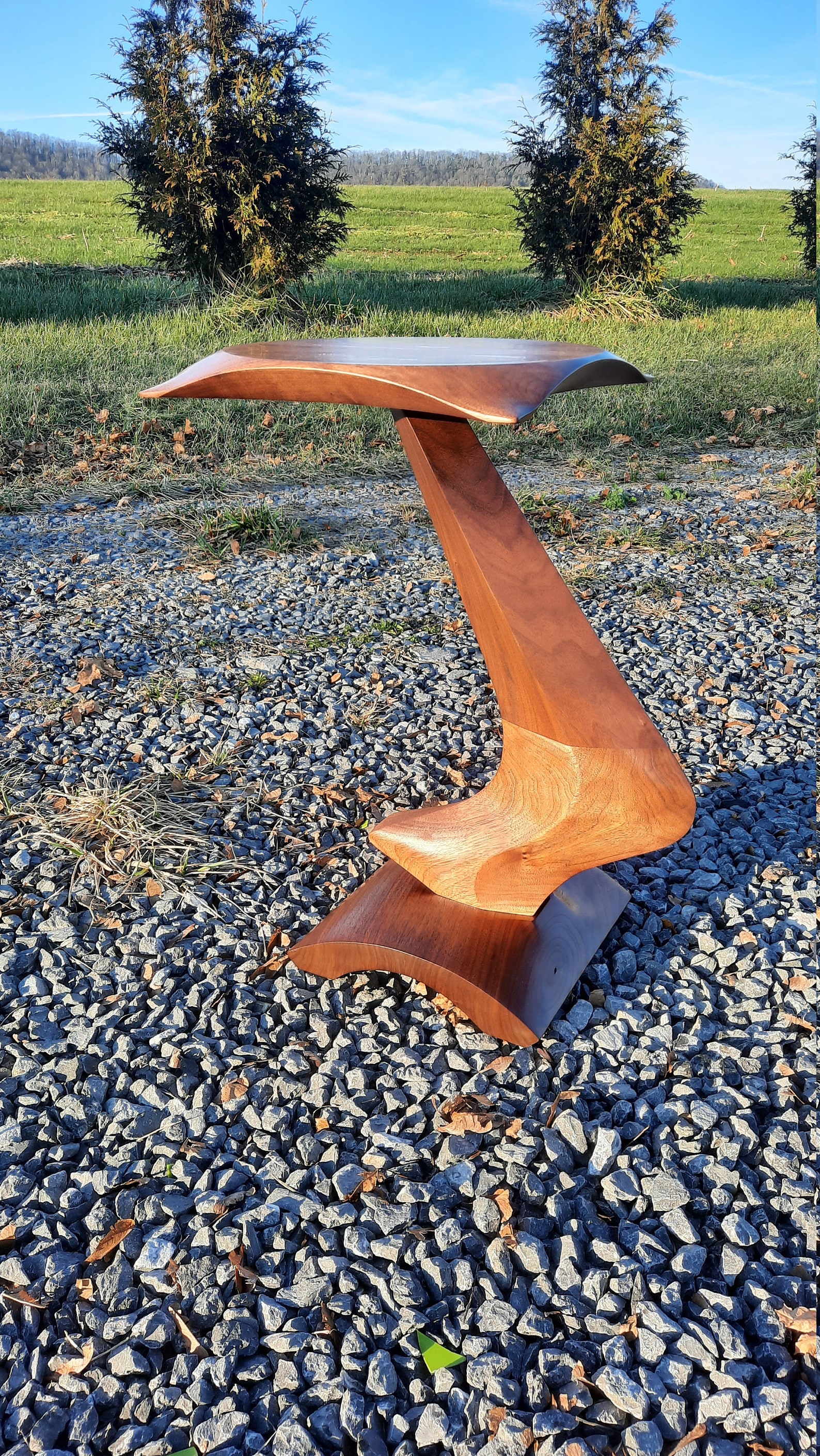 Side Table, Walnut Side Table, Modern Side Table, Sculptural Side Table ...