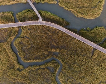 Charleston Marsh Art - Etsy